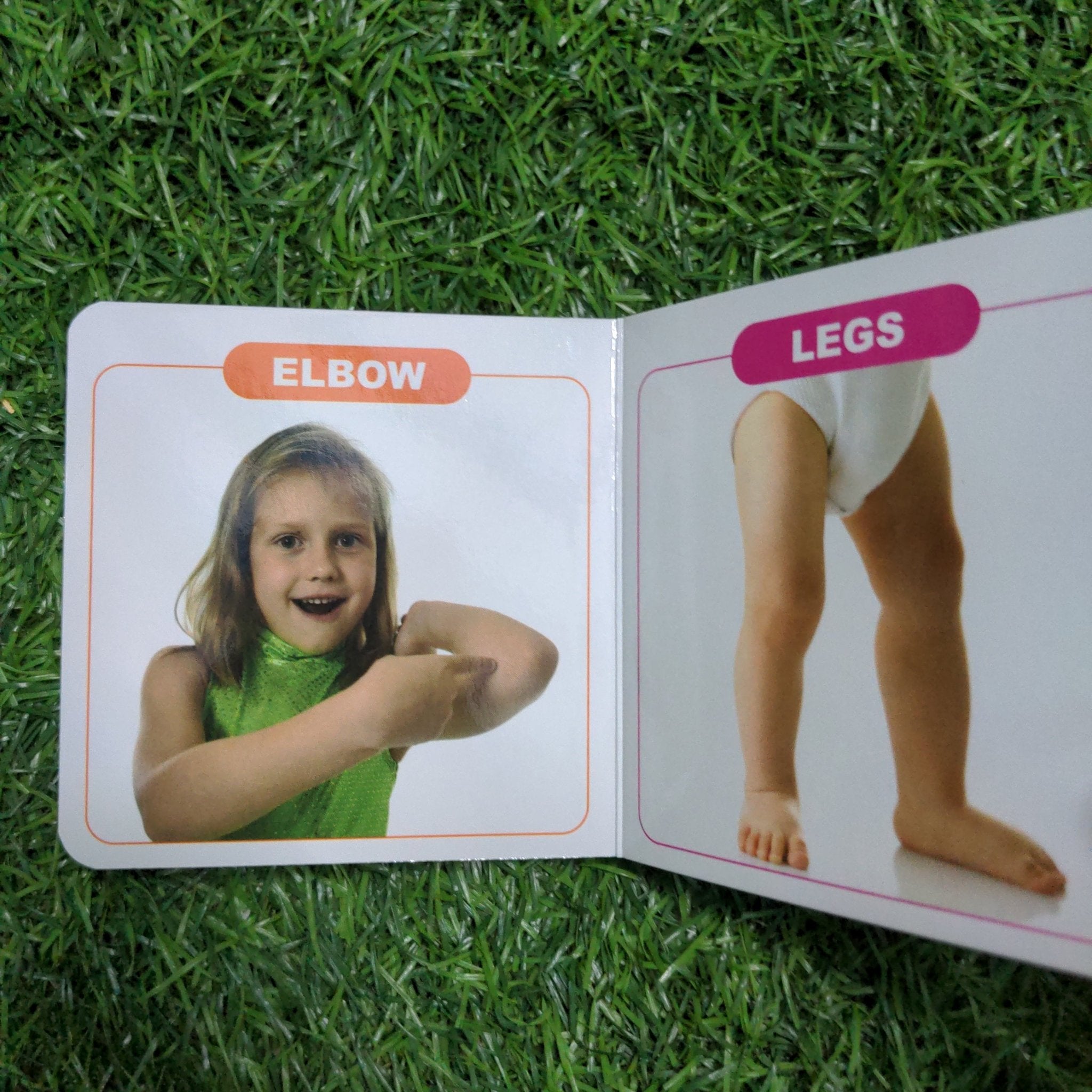 Parts of the Body - Little Board Book – We Are Turners